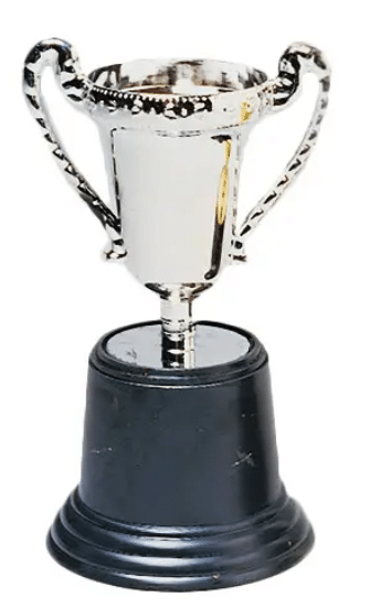 TROPHY - SILVER – Bazaar & Novelty